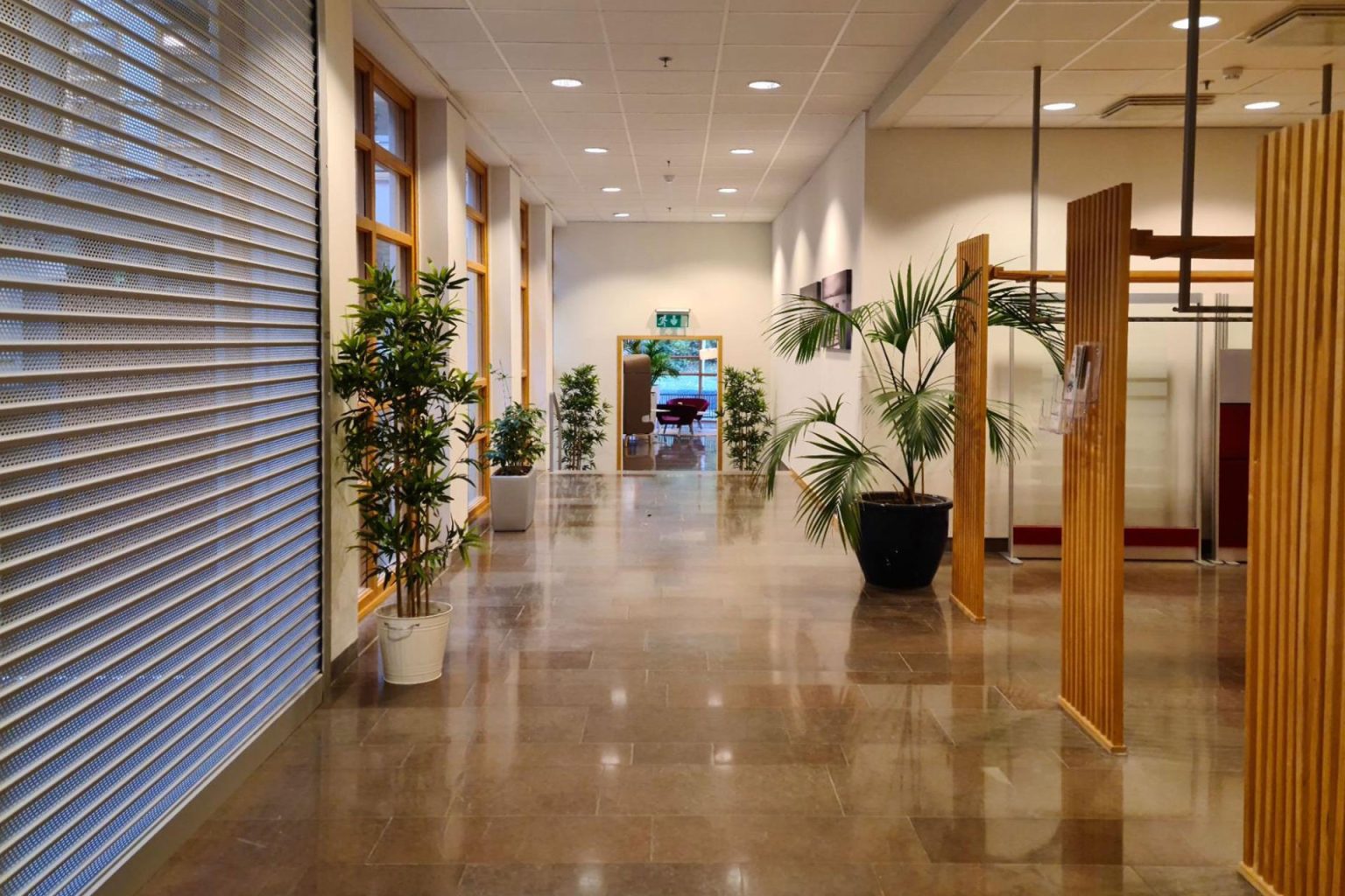 Top 7 Flooring Options for Office Spaces - OB Floors